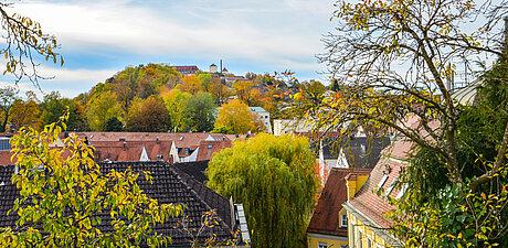 Tourismus Stadt Freising